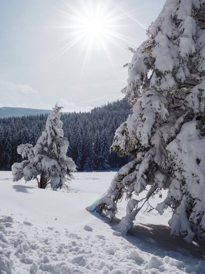 Winterwandern und Rodeln auf der Schwäbischen Alb bei Balingen | black ...