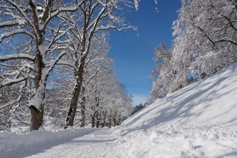 Winterwandern und Rodeln auf der Schwäbischen Alb bei Balingen | black ...