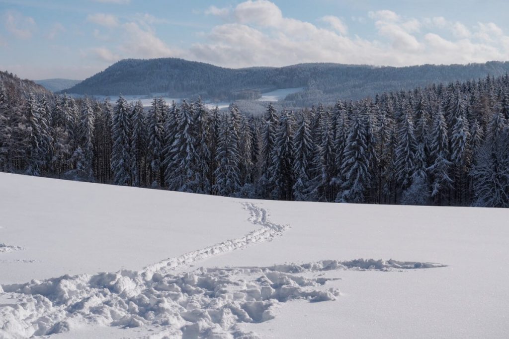 Winterwandern und Rodeln auf der Schwäbischen Alb bei Balingen | black ...