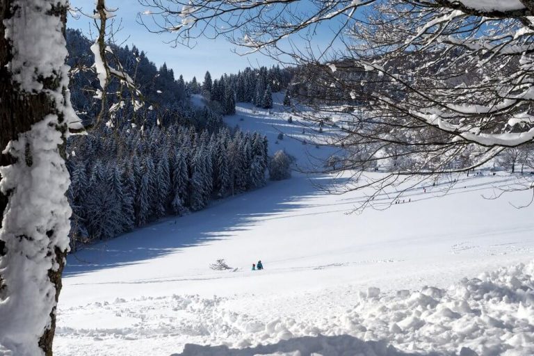 Winterwandern und Rodeln auf der Schwäbischen Alb bei Balingen | black ...