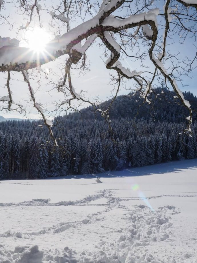 Winterwandern und Rodeln auf der Schwäbischen Alb bei Balingen | black ...