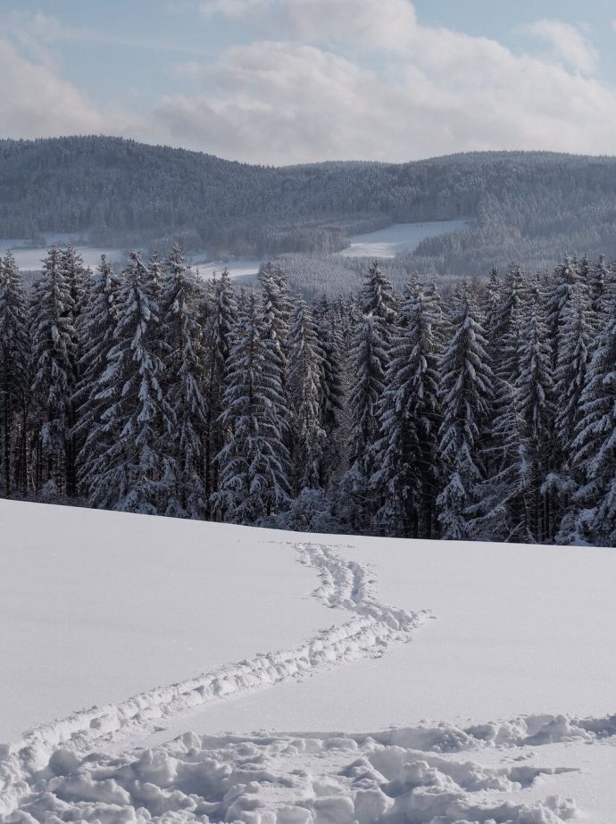 Winterwandern und Rodeln auf der Schwäbischen Alb bei Balingen | black ...